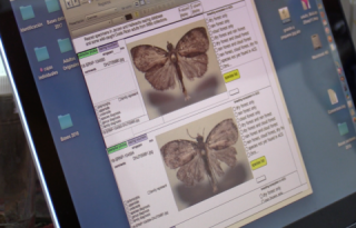 BioLep - Área de Conservación Guanacaste