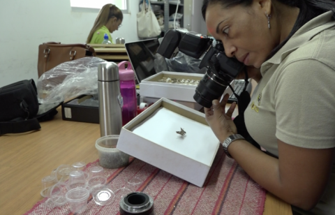 BioLep - Área de Conservación Guanacaste