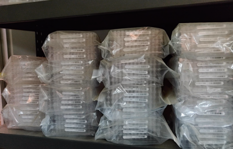 BioLep - Área de Conservación Guanacaste