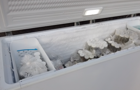 BioLep - Área de Conservación Guanacaste