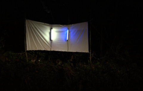 BioLep - Área de Conservación Guanacaste