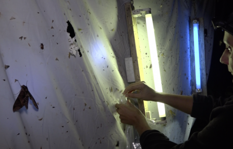 BioLep - Área de Conservación Guanacaste