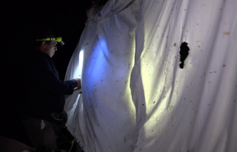 BioLep - Área de Conservación Guanacaste